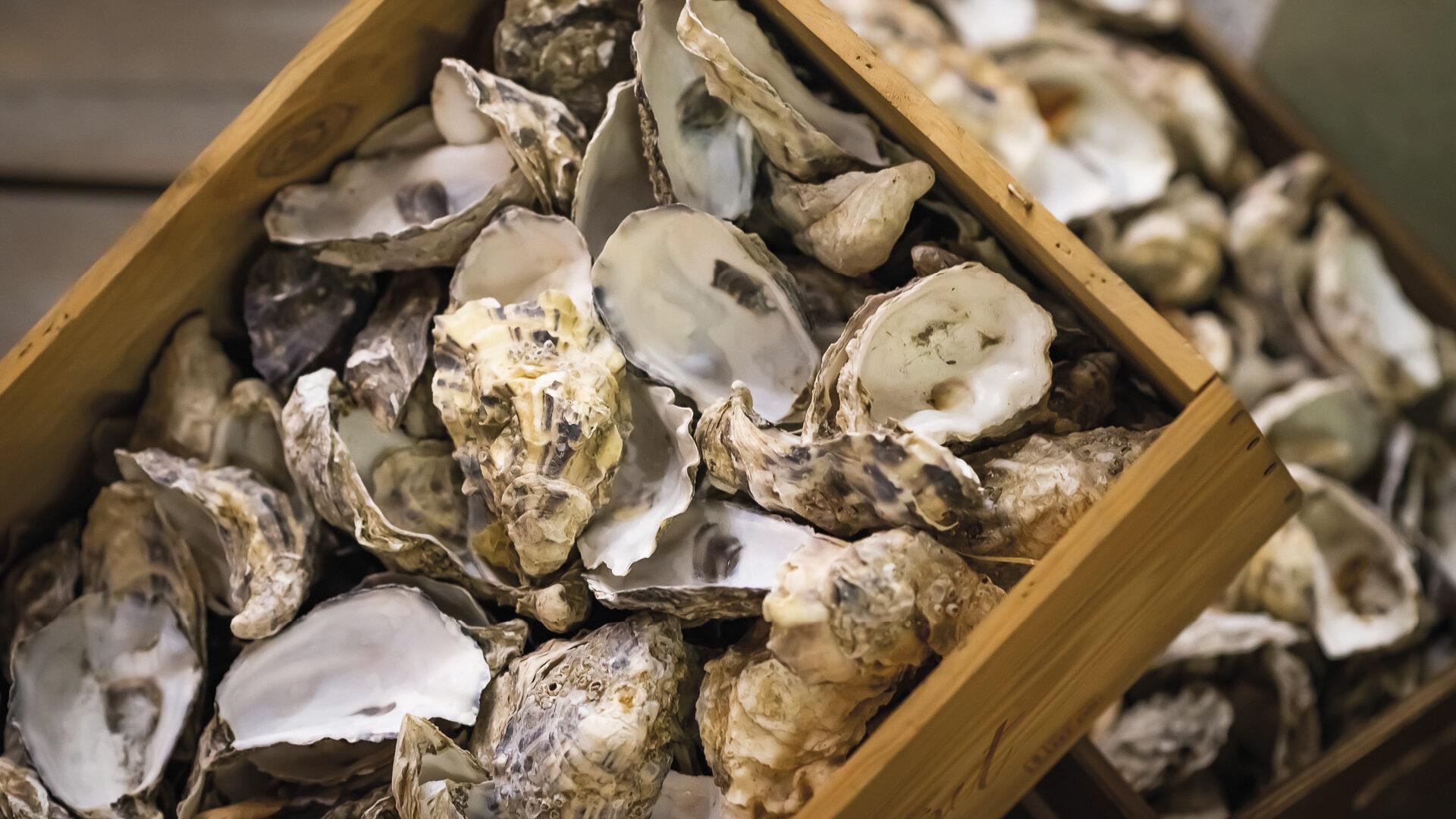 Stories | Rotary Club of Redcliffe Sunrise