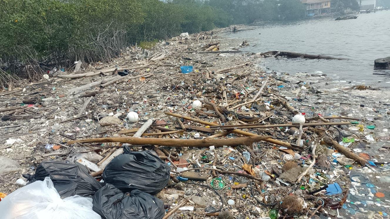 The trashed beaches | Rotary Club of Roatan Utila Guanaja
