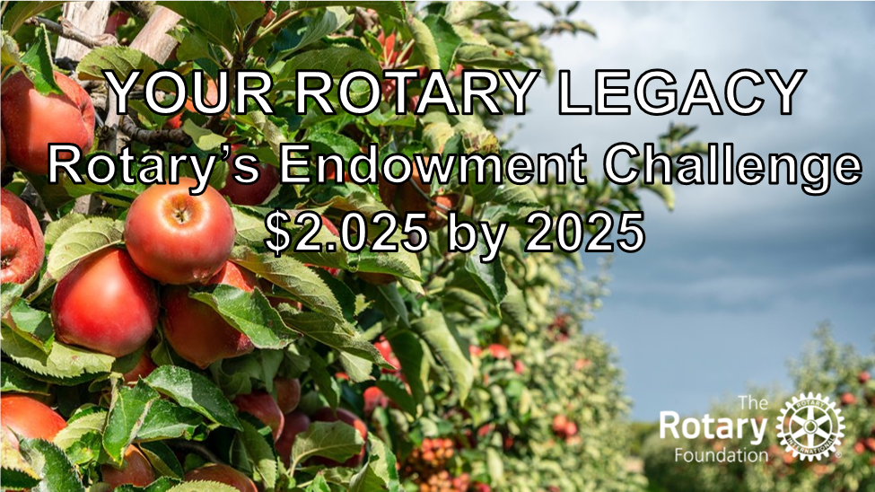 Grow Rotary's Endowment and Empower Local Projects | Rotary District 5370