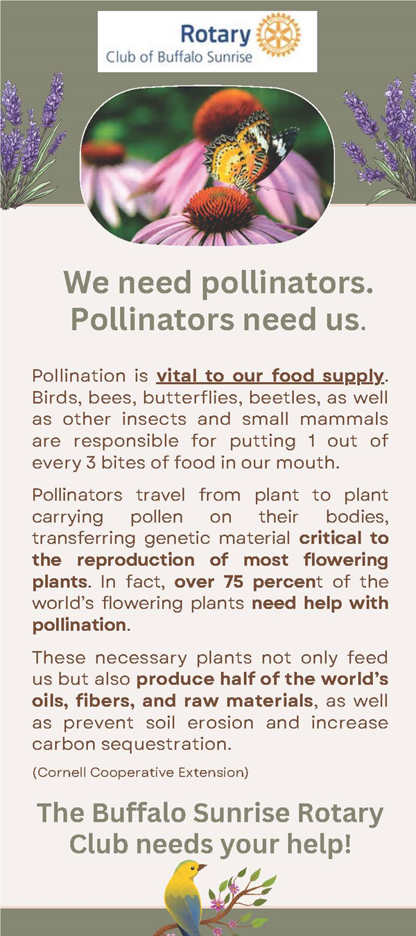 BSR Seeks Support for Pollinator Garden | Rotary District 7090