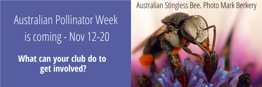 Aust Pollinator week | Rotary District 9780