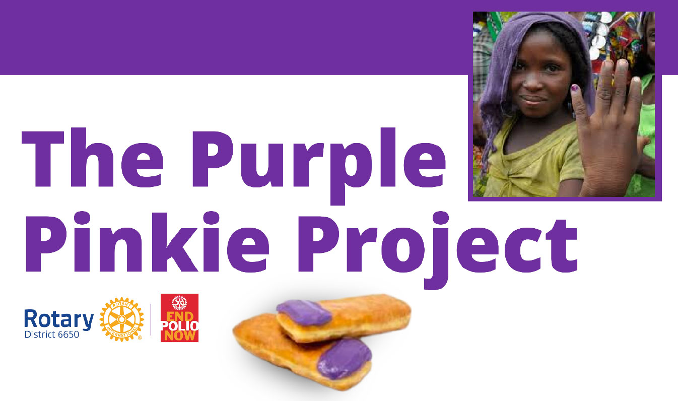 Purple Pinkie Project 2024 | Rotary District 6650