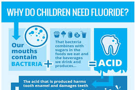January 2026 Rotary Roundup (Jan. 02, 2026)