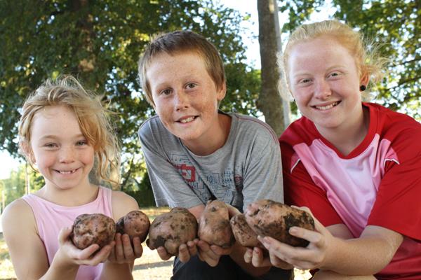 Matamata's Spud In A Bucket | Rotary District 9930