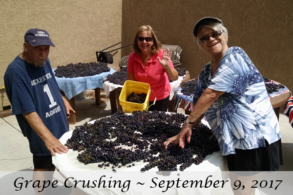 Home Page | SCW Zymurgy Club