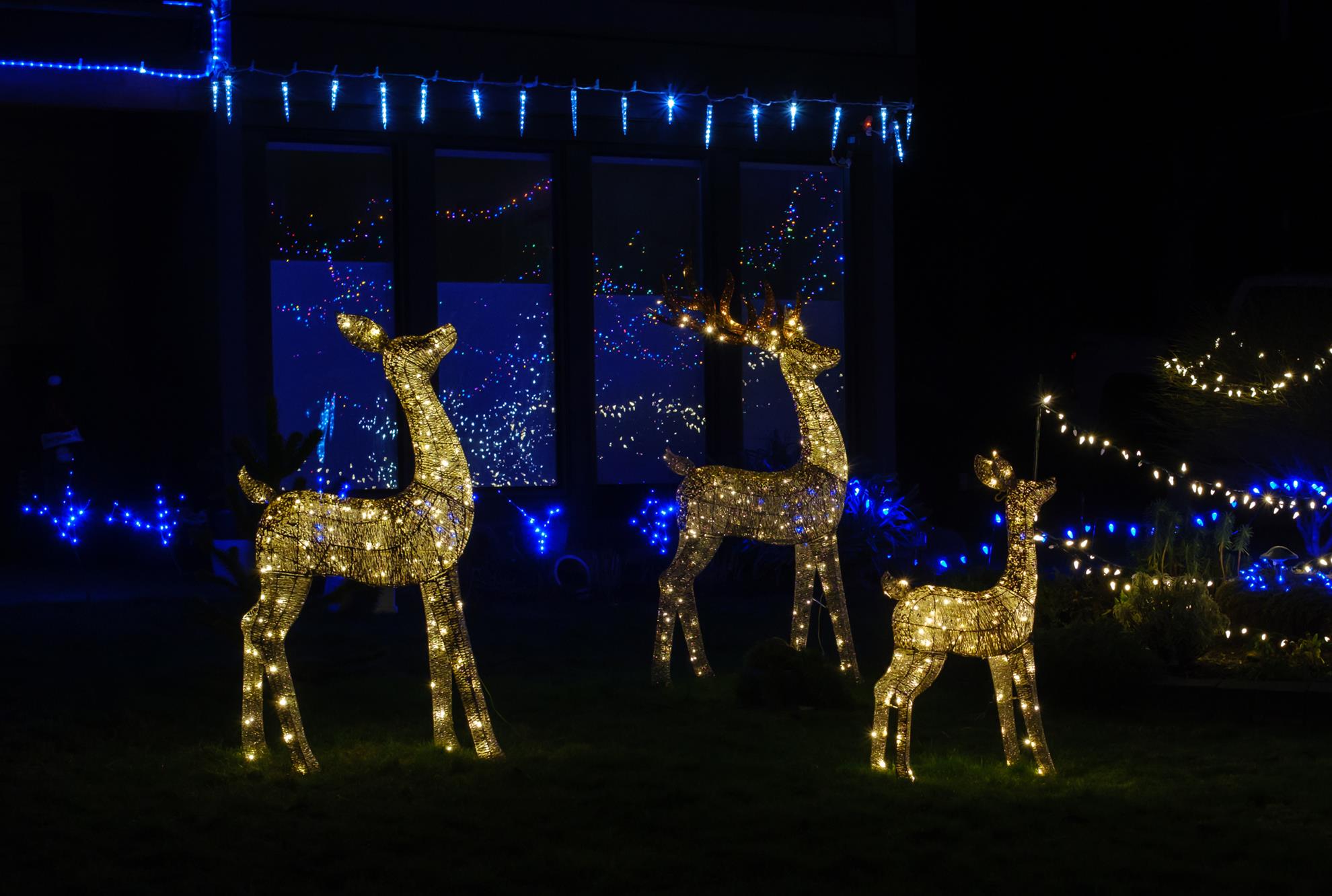 Photo Group - December 15, 2025 | Glacier Probus