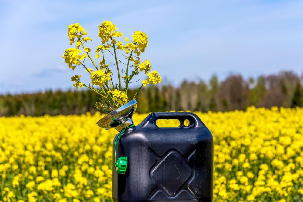 Renewable Diesel | Liquid Energy Pipeline Association