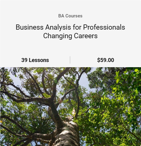 Business Analysis Training | Bluegrass
