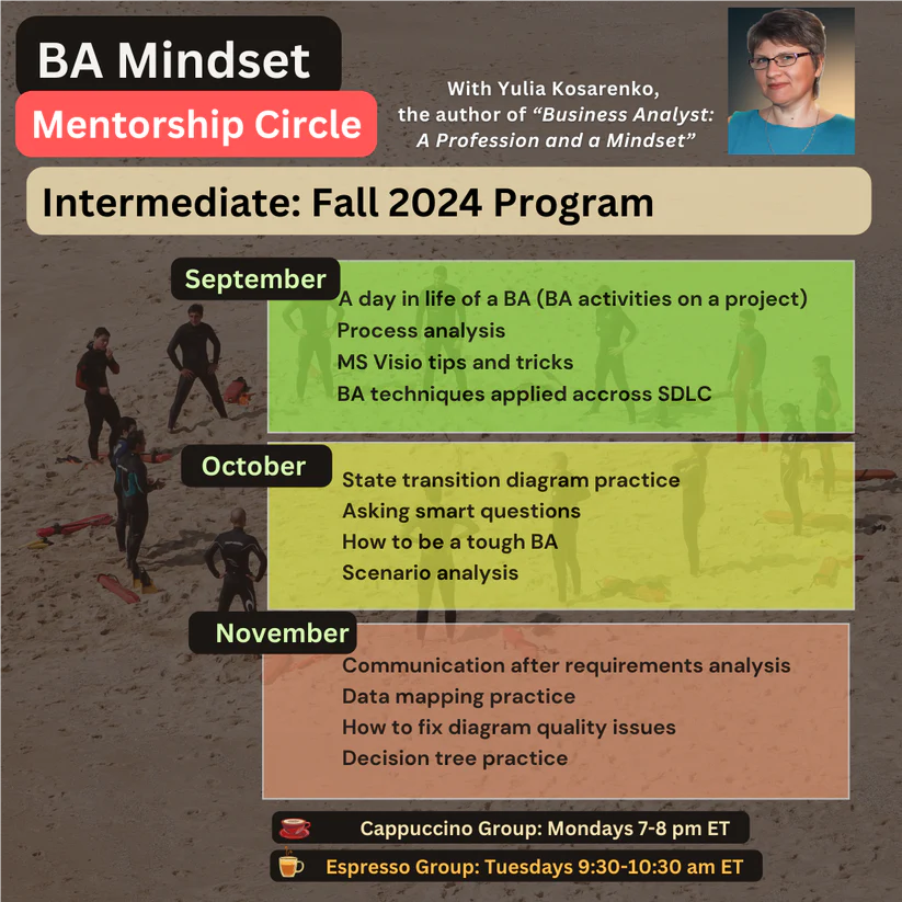 BA Mindset Mentorship Circle for Intermediate Business Analysts |Yulia ...