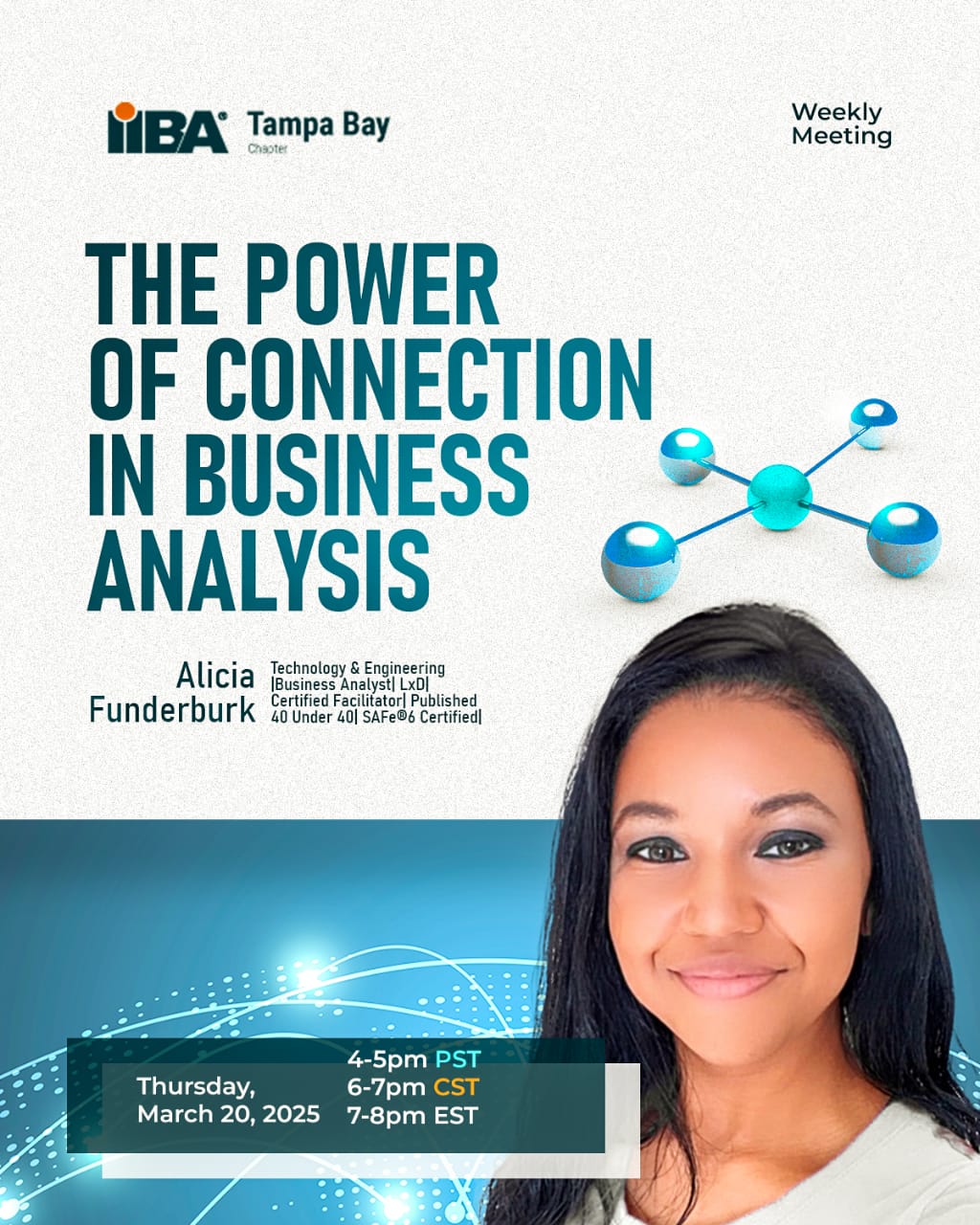 Tampa Bay Chapter Meeting- The Power of Connection in Business Analysis ...